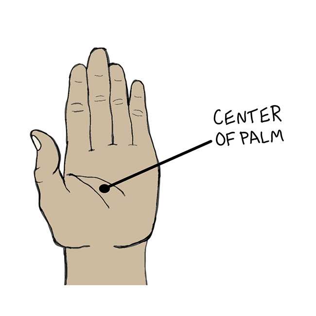 orchestra-instrument-rentals